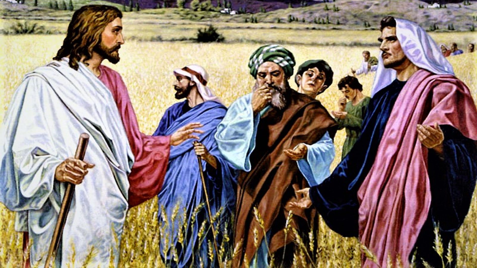 Domingo XVI del Tiempo Ordinario, San Mateo 13,24-43 – Prelatura de Moyobamba